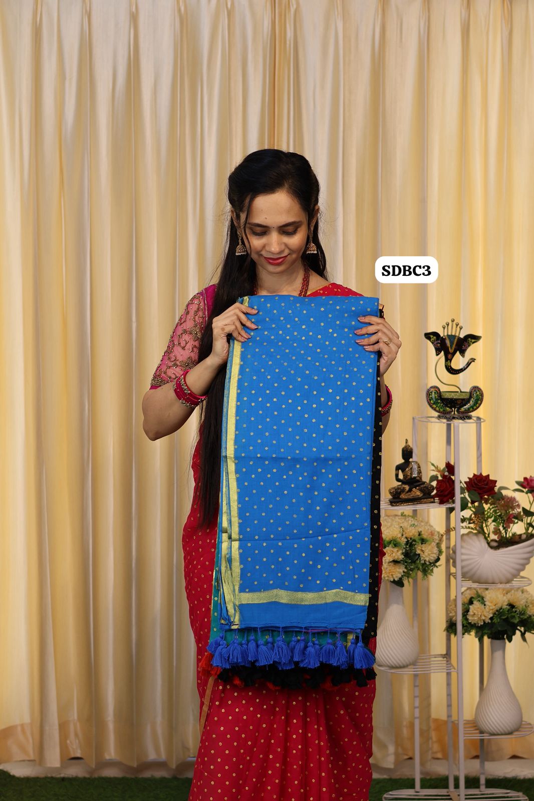 Pure 120 count cotton saree 😍🥳 – Rishi Boutique